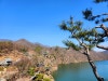 충북 옥천 가볼만한곳 대전 근교 가볼만한곳 옥천 천상의정원 수생식물학습원 사전예약 필수 네이버 블로그